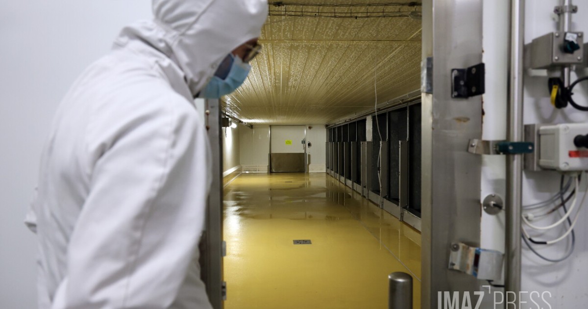 Abattoir de volailles de l’Étang-Salé : "Duchemann et Grondin" conserve ...