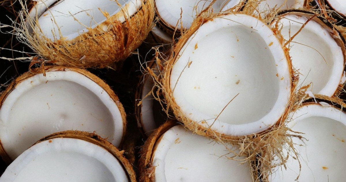 [PHOTOS] - Piments et coco ramènent leur fraise sur les marchés