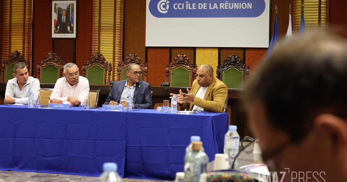 CCIR : les acteurs économiques réunionnais plaident pour le maintien de ...