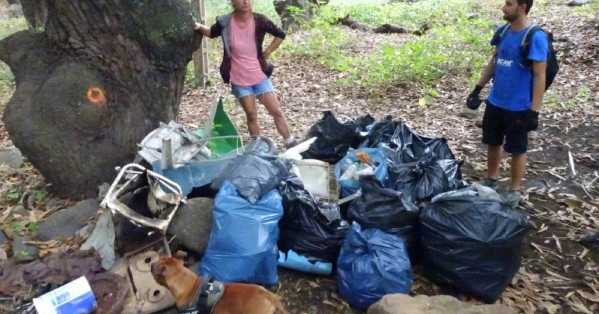 Saint-Paul : opération de ramassage de déchets à la Ravine Divon