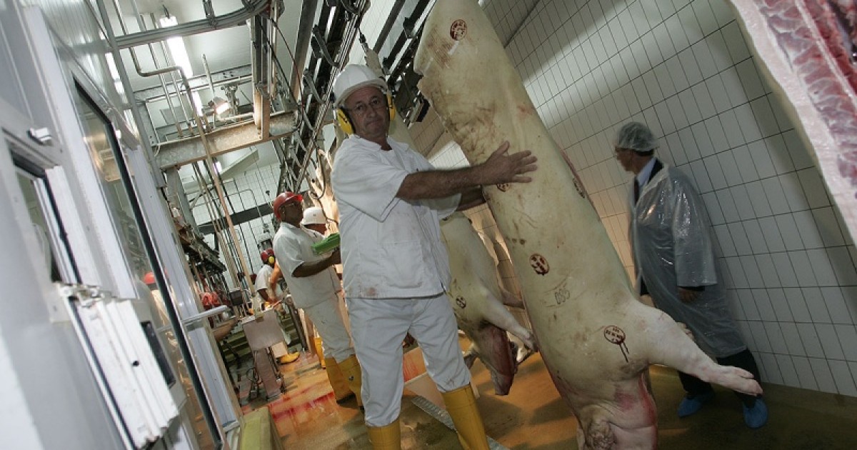 Abattoirs : La Réunion s'en sort très bien