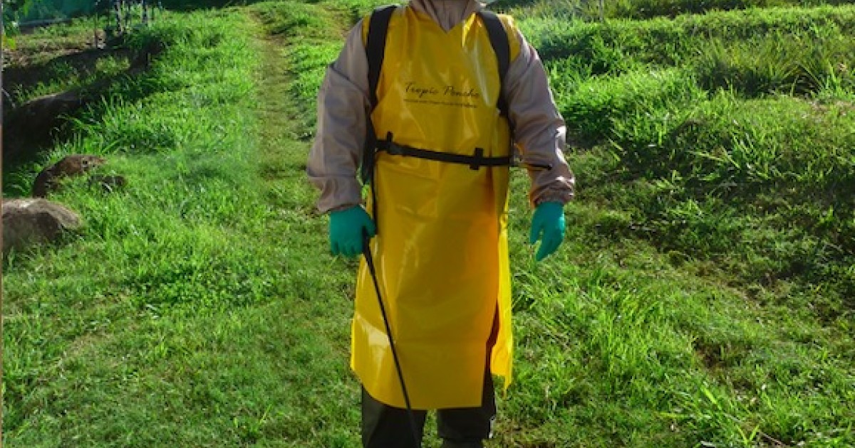 Challenge Epidom : de nouvelles combinaisons pour les agriculteurs péi