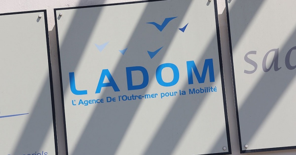 LADOM signe une convention avec le Collectif mentorat, pour les ...