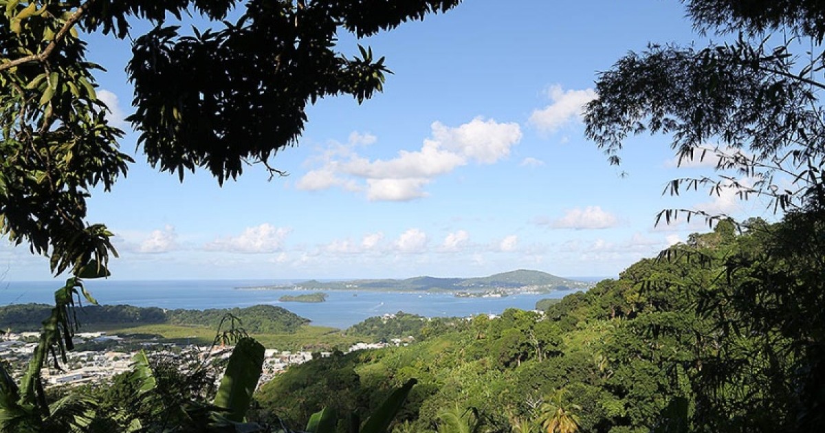 Une réserve naturelle et un plan de reboisement pour Mayotte