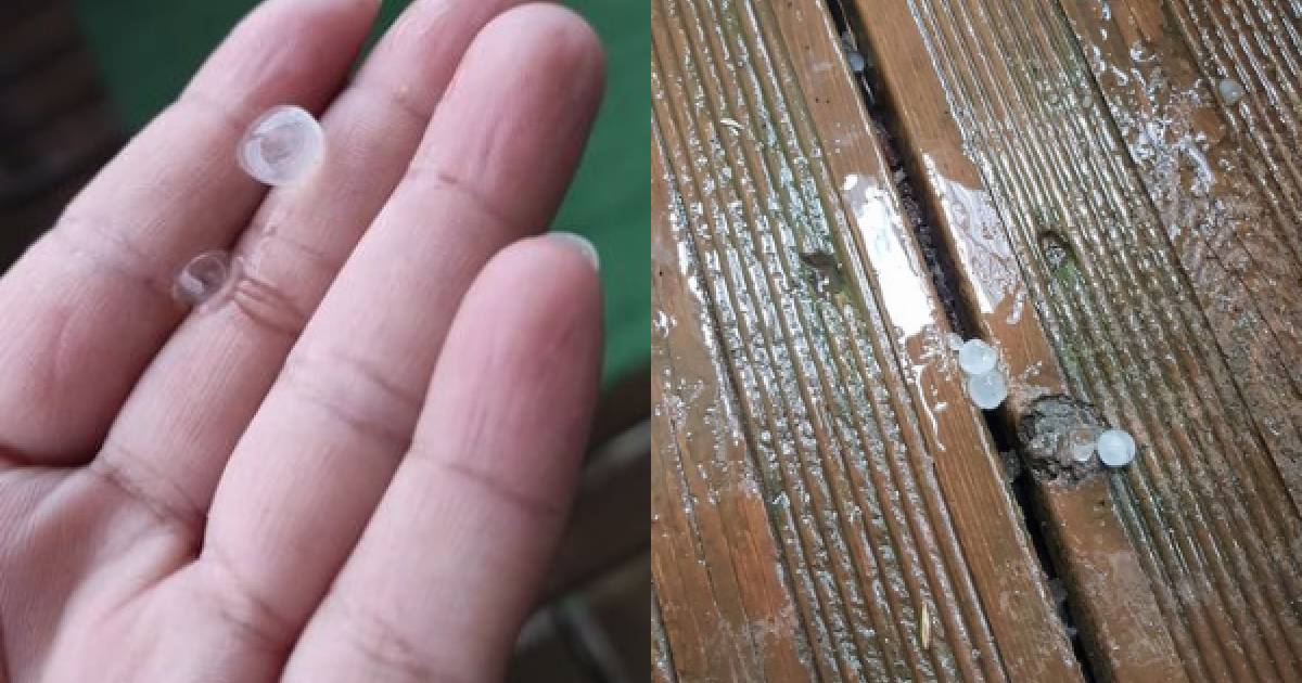 Du grésil observé au Guillaume Saint-Paul et à Bérive