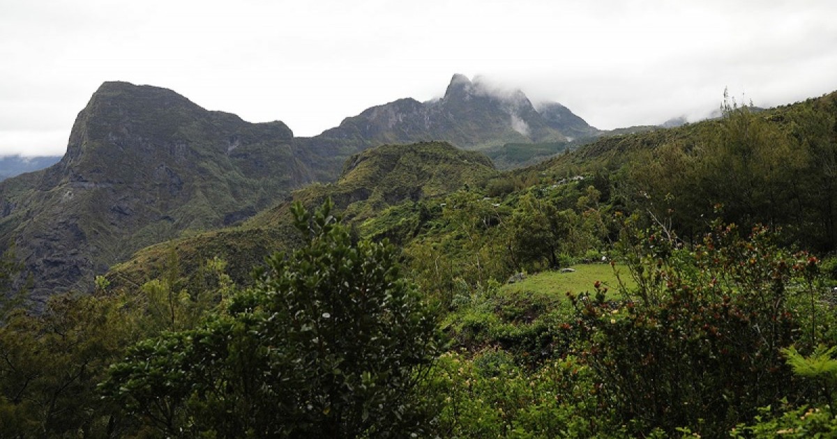 Un temps chaud et humide