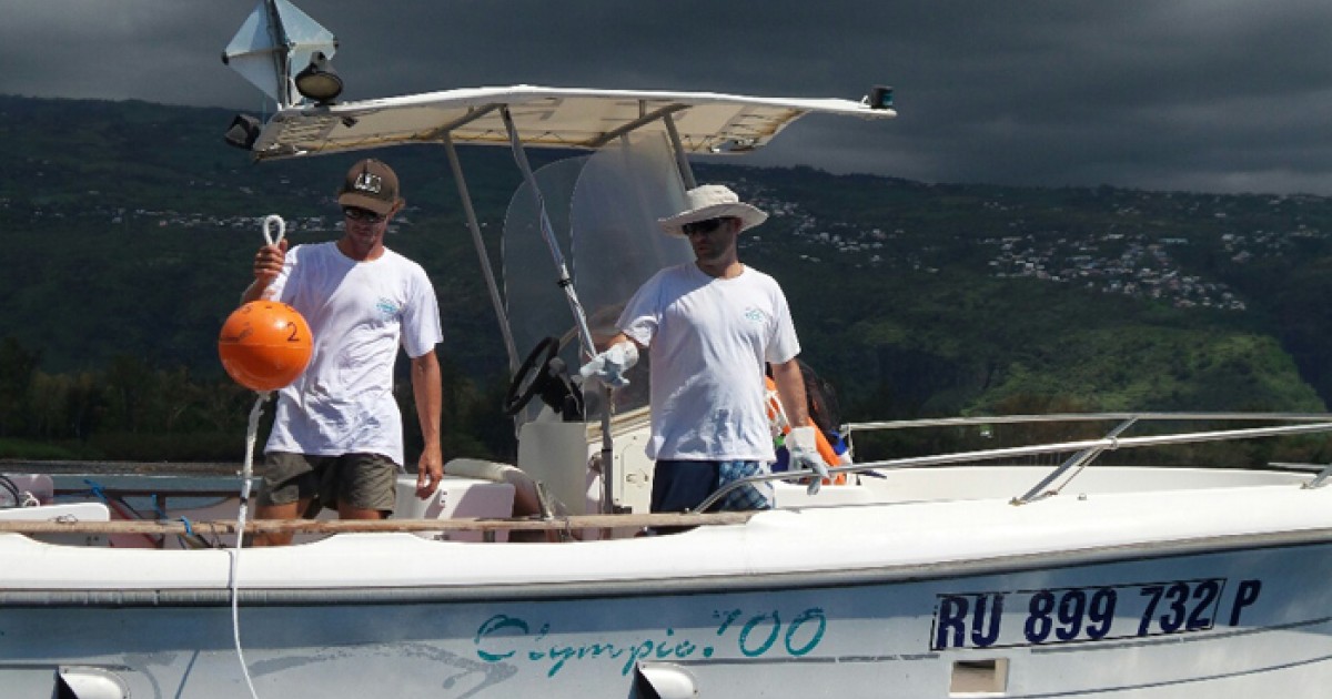 Cap Requins: 5 squales déjà capturés