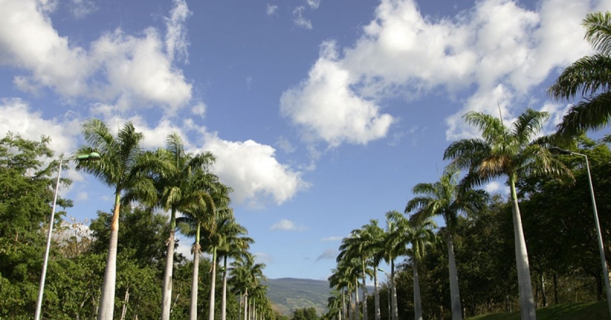 Le Port : inauguration public de la réhabilitation du Parc Boisé