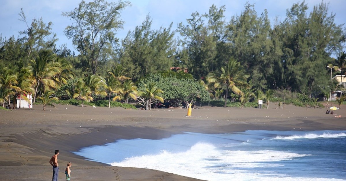Un requin observé à l'Étang-Salé