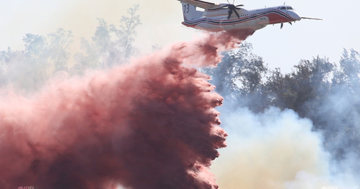 Le Dash 8 est passé à l'action