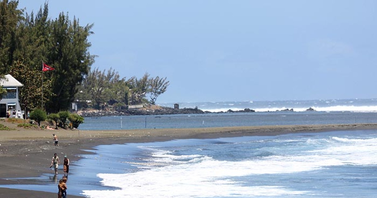 Etang-Salé : un requin bouledogue percute une barque de pêche