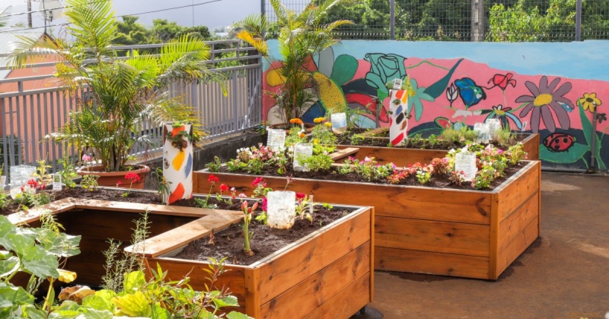 Un préau et un jardin pédagogique inaugurés à l'école Iris Hoarau