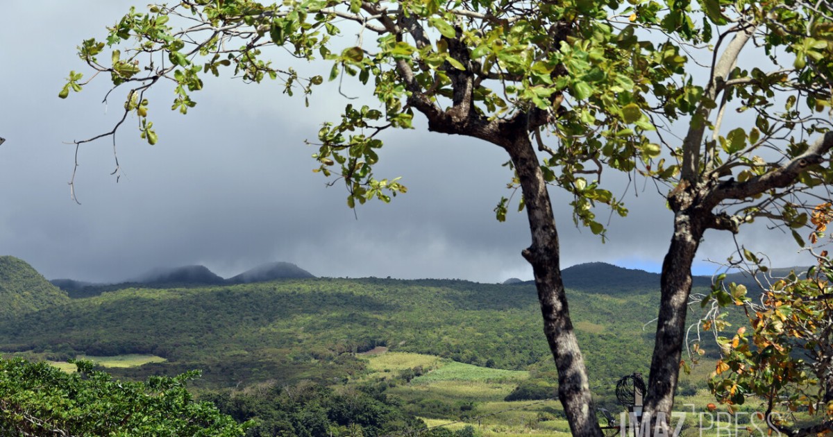 Météo : un temps humide au lever du jour
