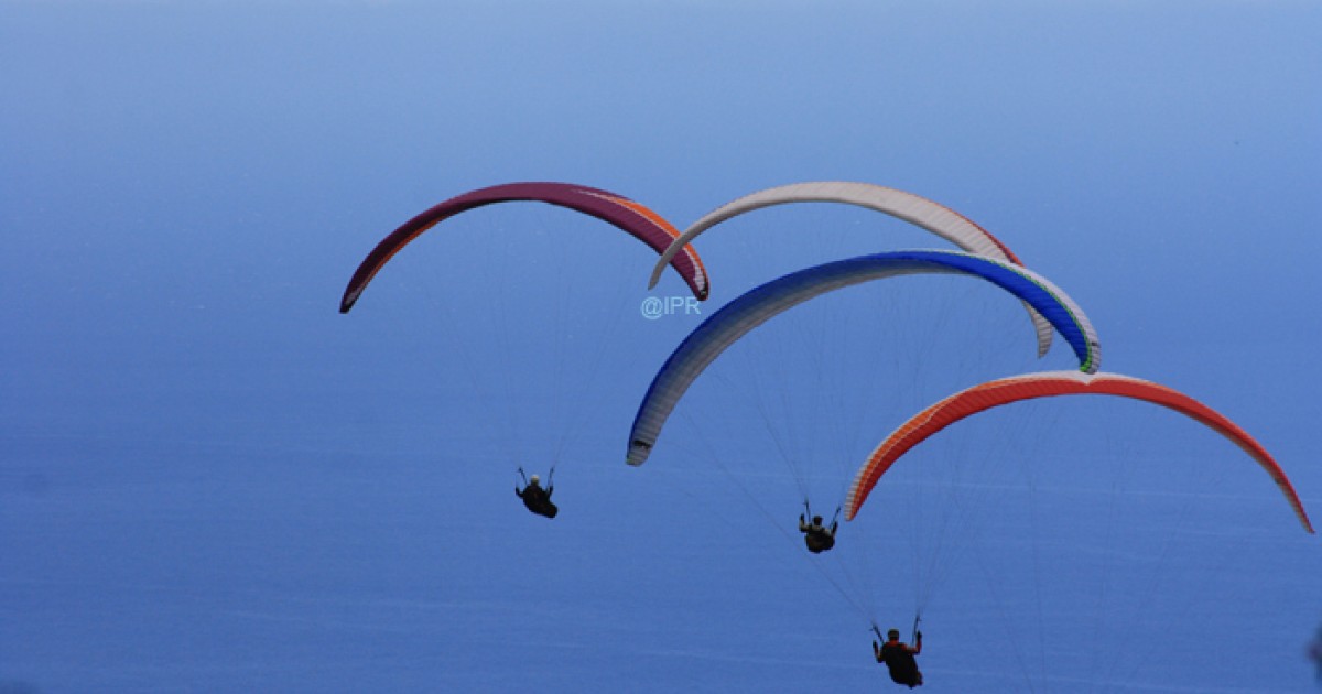 La parapentiste atterrit sur la route des Tamarins