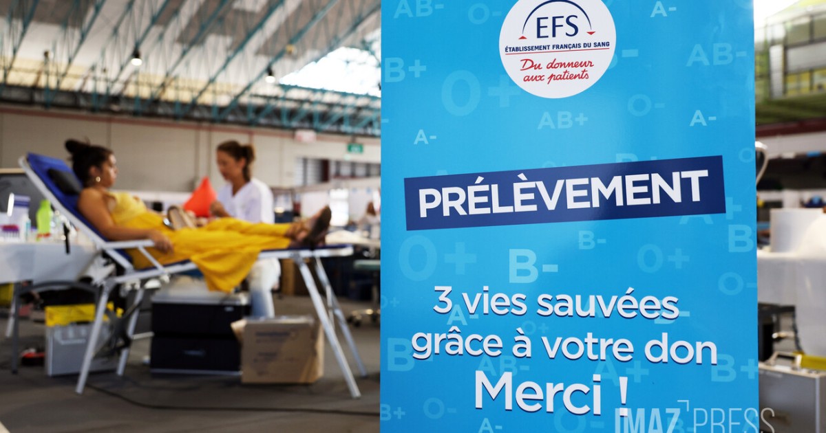 À La Réunion : à l'approche des grandes vacances, des centaines de dons ...