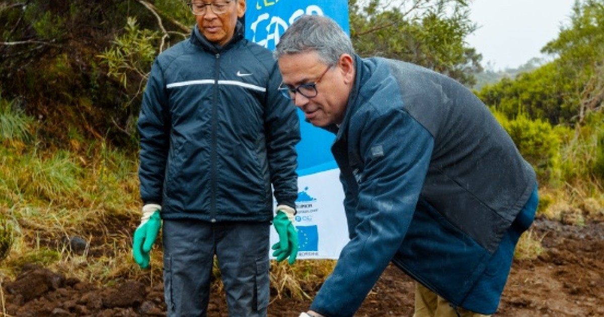 Le Tampon : une première pousse pour le Parc du Volcan