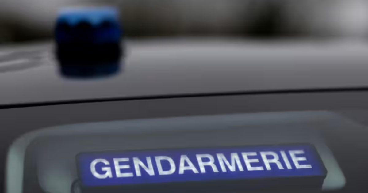Disparition d’une collégienne de 11 ans dans le Gers, un homme en garde ...
