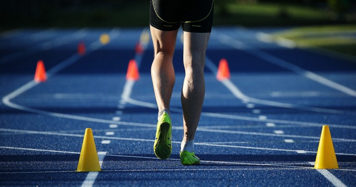 Sportifs de haut niveau : ils ont fait briller les couleurs de la ...