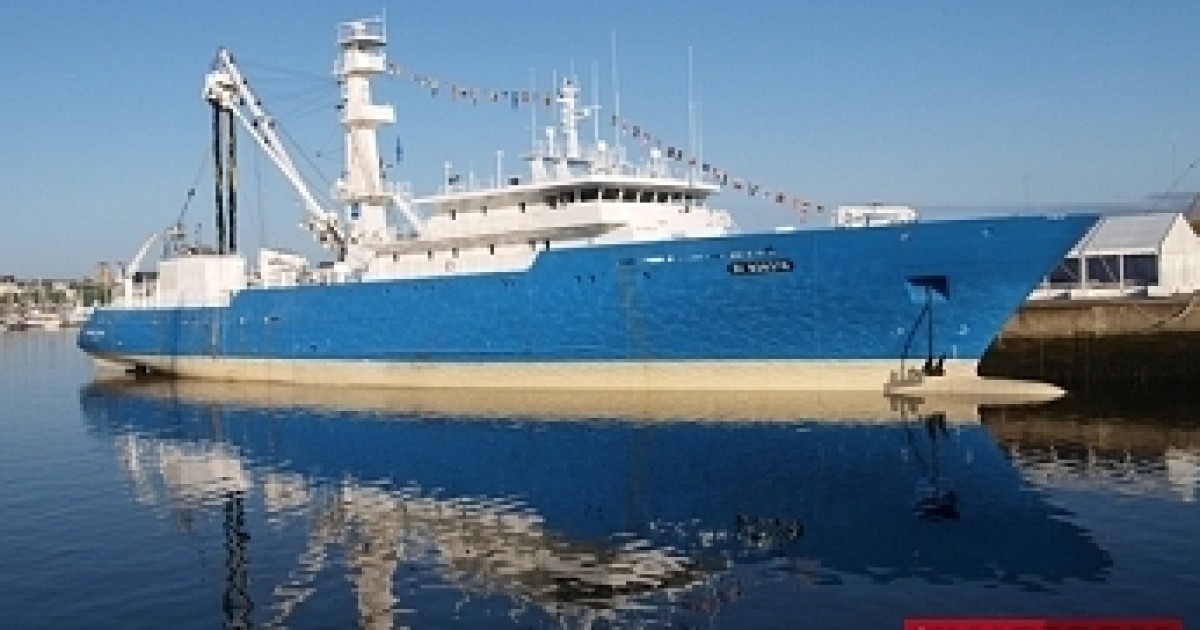 La légine se porte mieux que la langouste