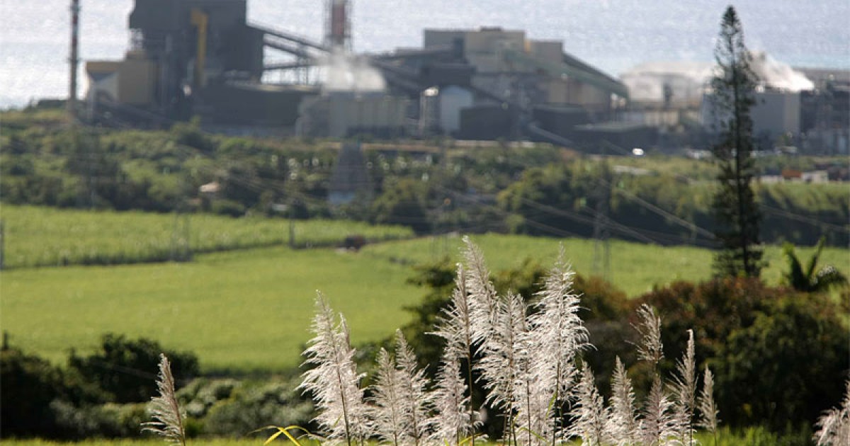 L'usine de Bois Rouge bloquée