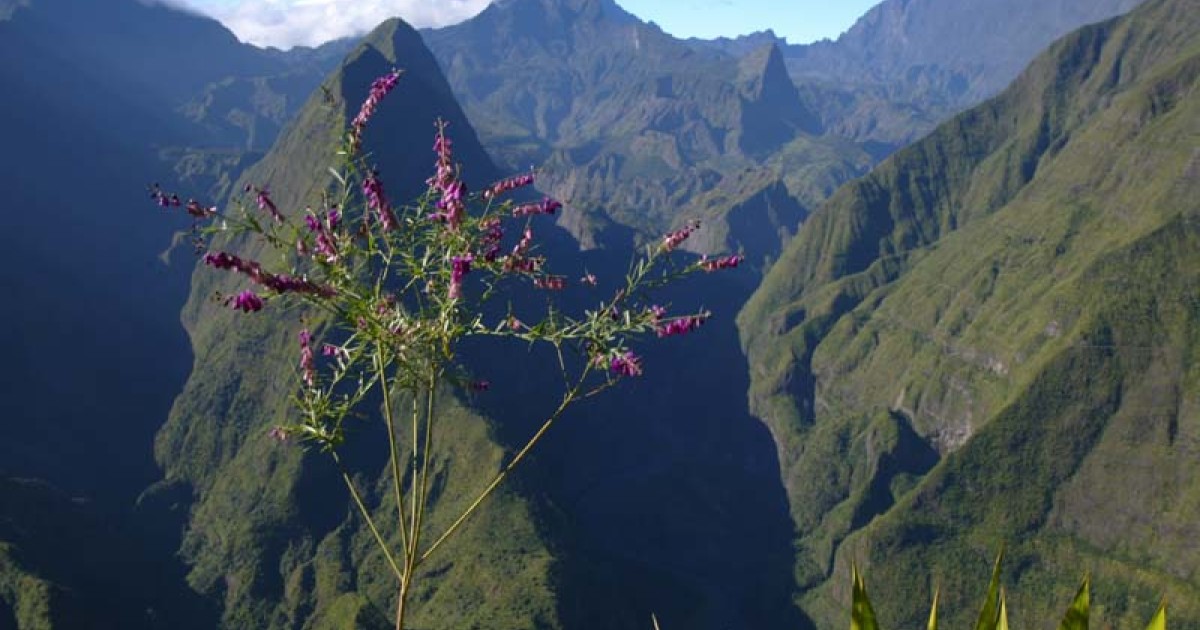 "Pitons, cirques et remparts" 3 bougies déjà