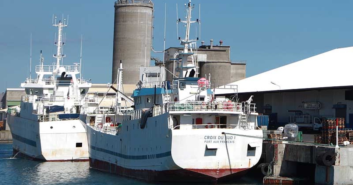 Légines et langoustes : la Sapmer est satisfaite des campagnes de pêche