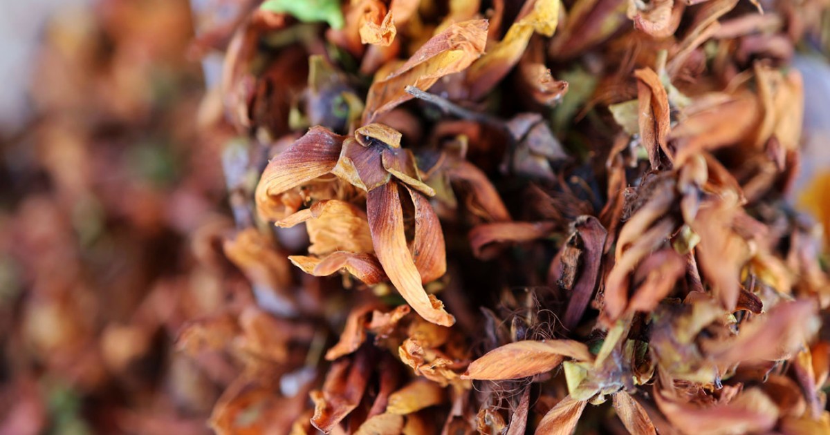 Saint-Denis : des ateliers traditionnels dans les quartiers de Prunel