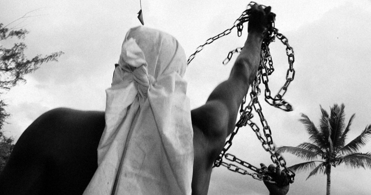 Elizabeth Heyrick, une quakeresse pour l’abolition immédiate de l ...