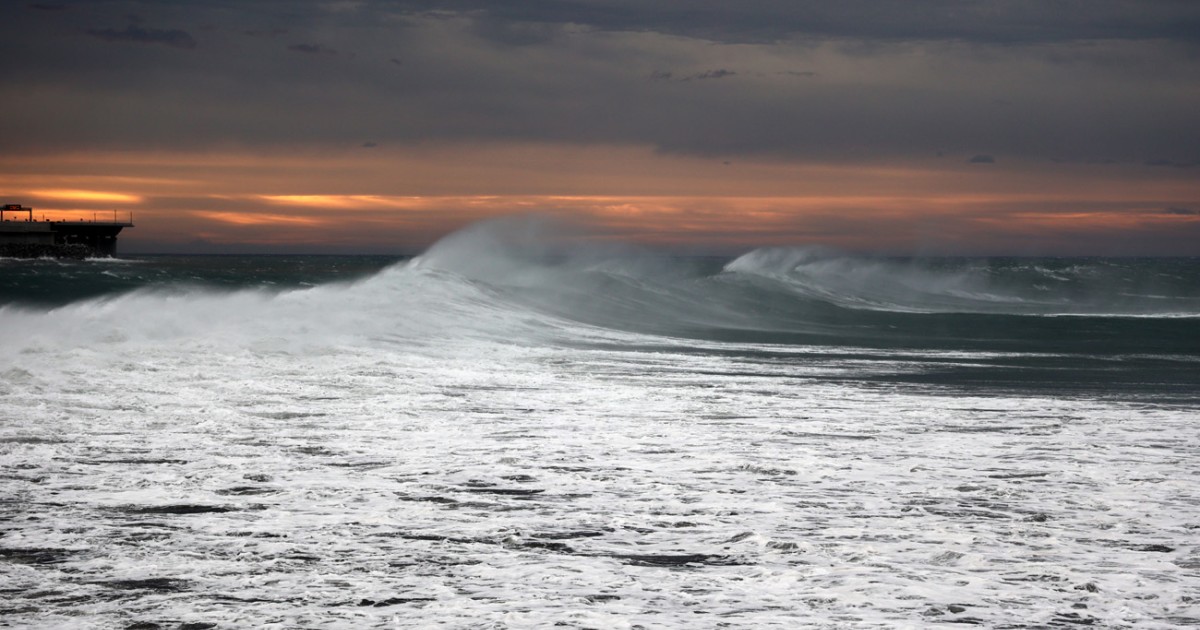 Freddy, un cyclone d'exception qui a frôlé La Réunion