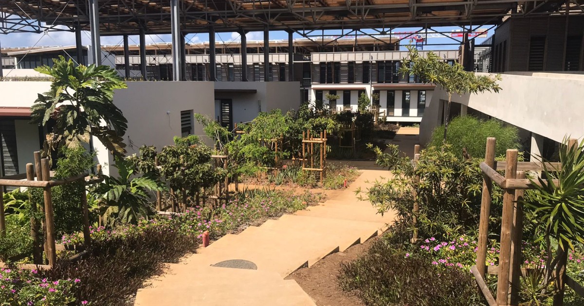 Université de La Réunion : le campus Santé se prépare à accueillir 2. ...